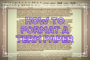 How to Format a Term Paper: Definitve Guide 2020
